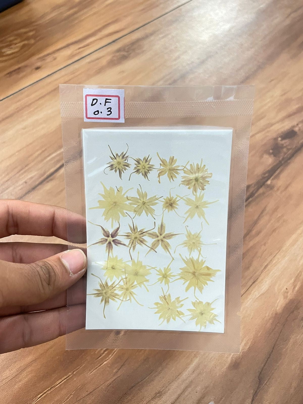 Destash Pressed Flower DF-01