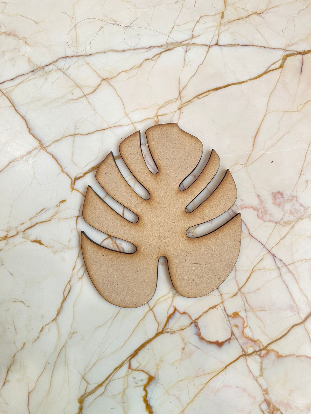 Mdf coaster - Leaf