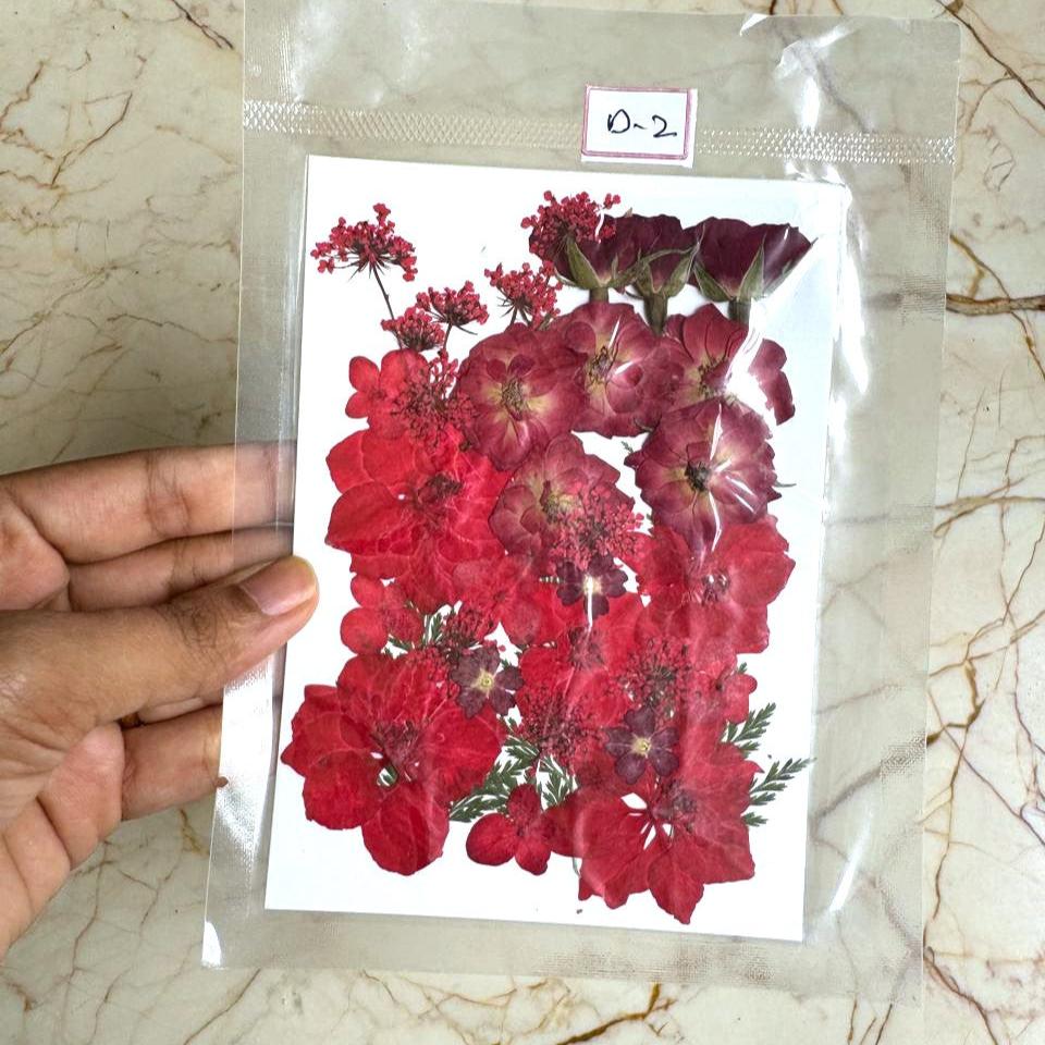 Pressed Flowers - D2