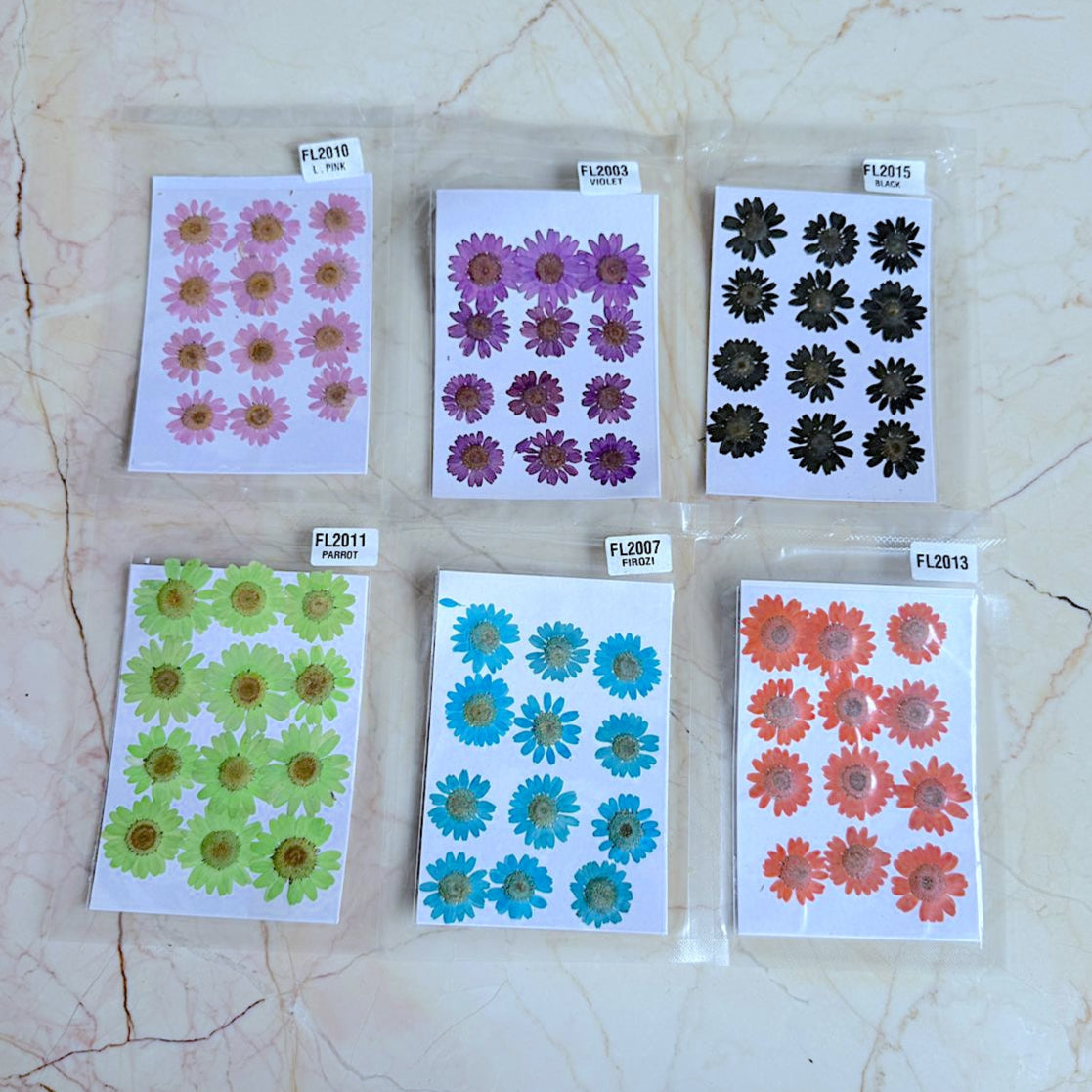 Pressed Daisy Flower Sheet